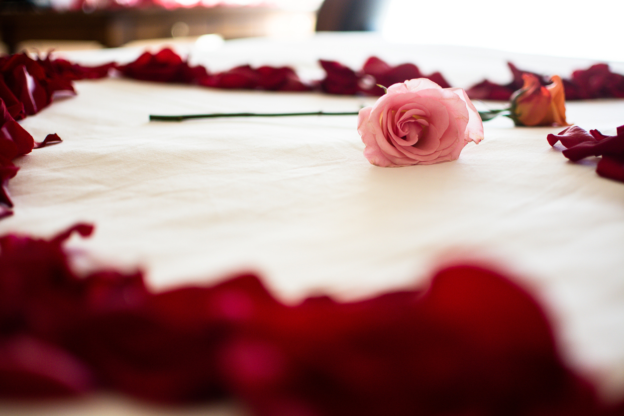 CandleCraft Kerzenduftöl - Duftöl für Kerzen - - Rosenbett - Bed of ...